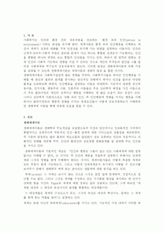 체계적관점 사회복지실천