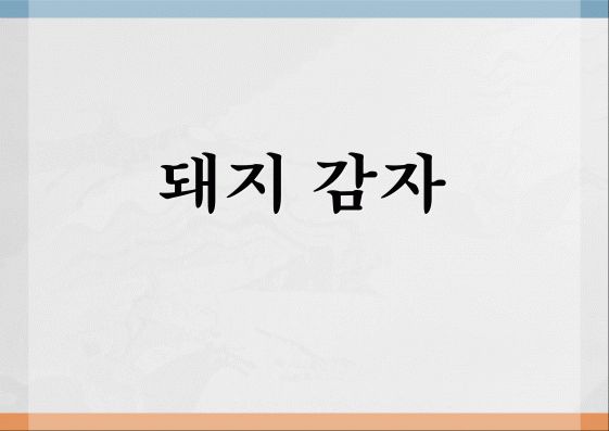 돼지 감자 레포트 자료