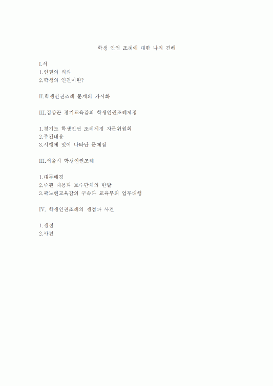 학생 인권조례에 대한 나의 견해