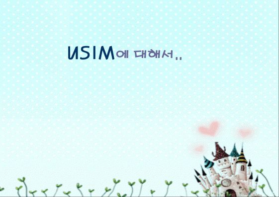 USIM에 대해서 레포트 자료