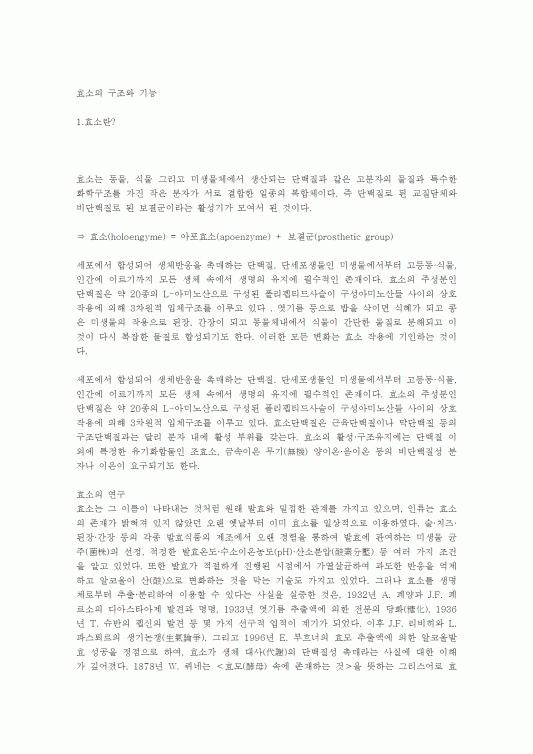 효소의 구조와 기능