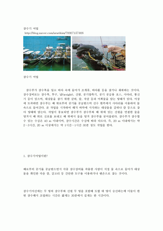 잠수기어업 레포트 자료