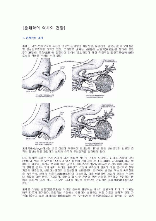 홍채학의 역사와 전망