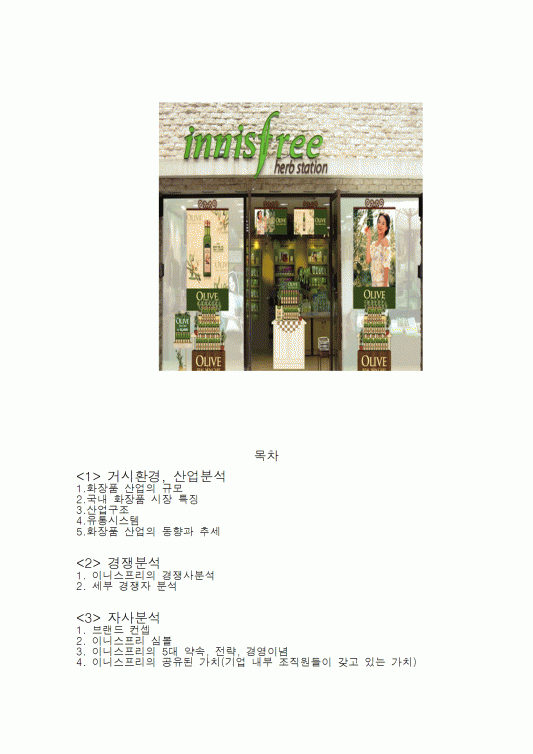 이니스프리(innisfree) 브랜드분석과 마케팅전략분석및 새로운마케팅전략제안 - SWOT, STP, 4P