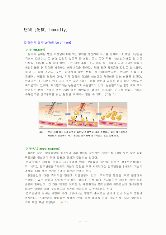 (병리학)면역 레포트 자료