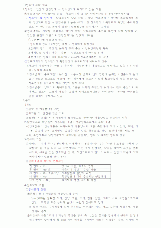 [사범/법학] 청소년문화