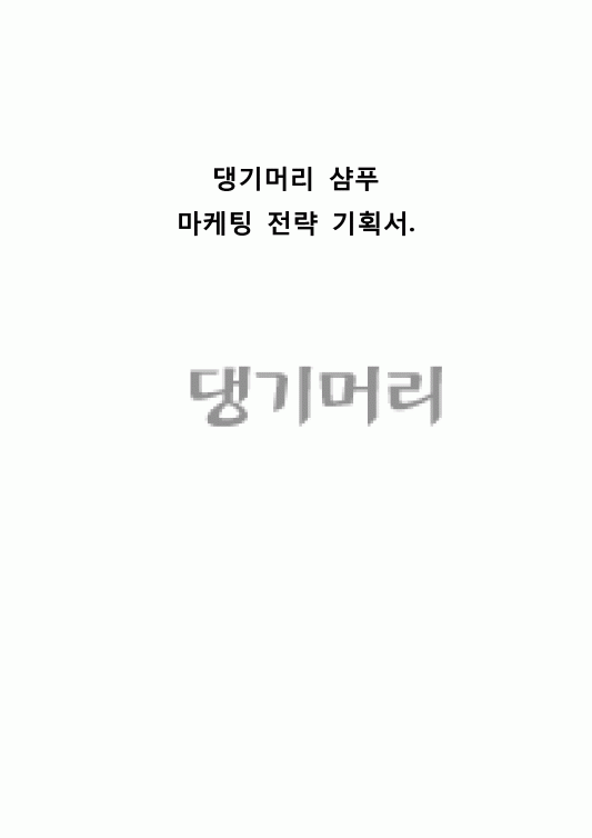한방샴푸 댕기머리 마케팅전략분석및 new 마케팅전략 제안