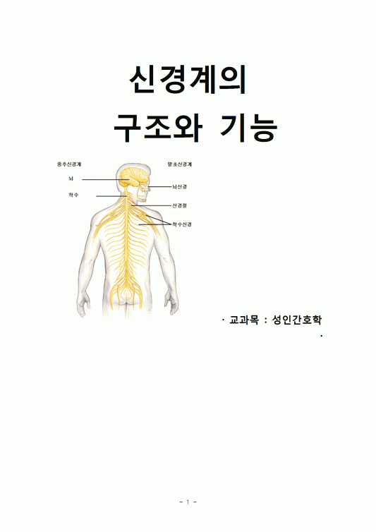 경계의 분류 레포트 자료