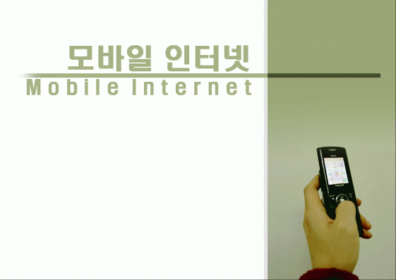 모바일 인터넷 (Mobile Internet)