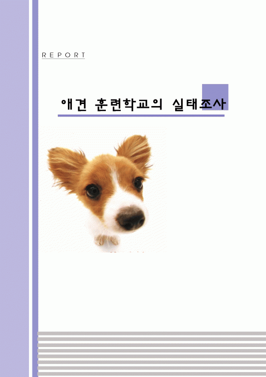 애견 훈련학교의 실태조사