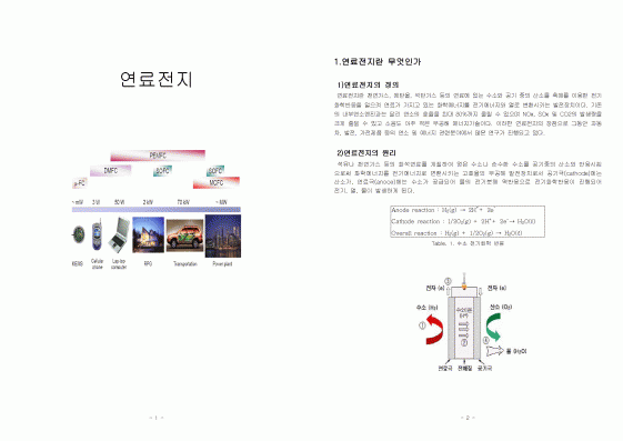 [공학/컴퓨터/통신] 연료전지