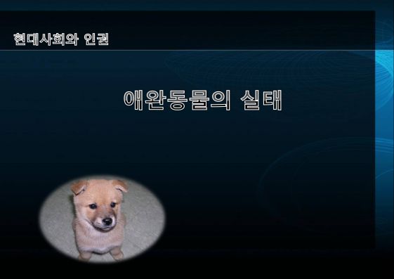 애완동물의 실태