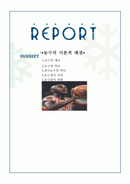 농구설명자료