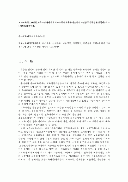 교과교육론3A) 표준보육과정 - 사회관계, 의사소통, 신체운동, 예술경험, 자연탐구, 기본생 영역 만0세∼1세 보육계획안0k , 보육과정 운영의 평가