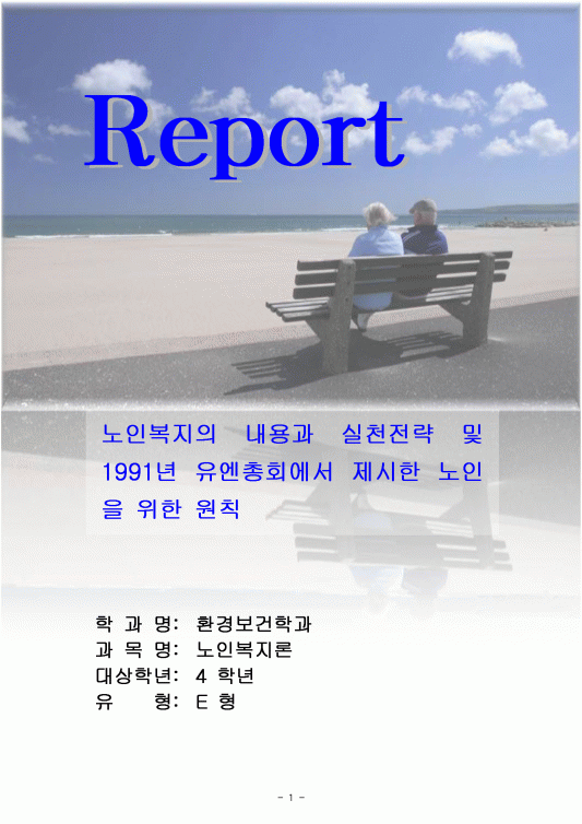 노인복지론4E) 노인복지의 내용과 실천전략 및 1991년 유엔총회에서 제시한 노인을 위한 원칙