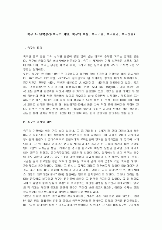 축구 완벽정리(축구의 기원, 축구의 특성, 축구기술, 축구효과, 축구전술)
