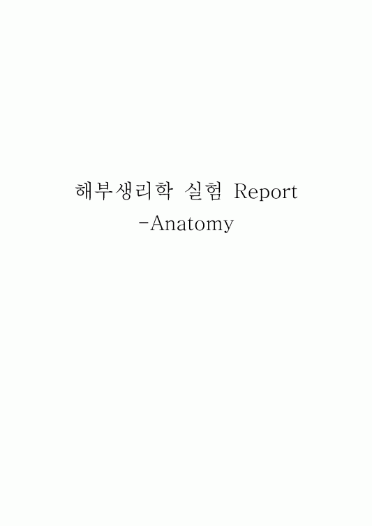 해부생리-anatomy