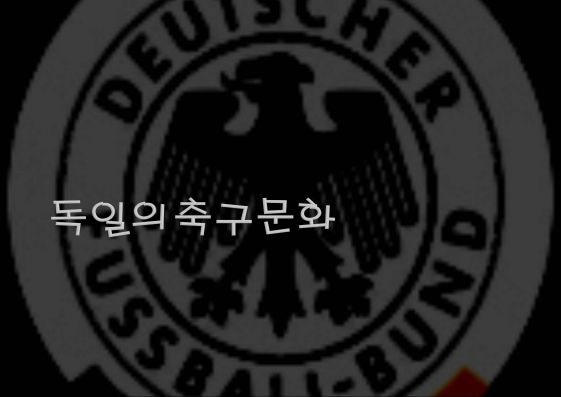 독일의 축구문화 - 독일축구 구조, 분데스리가 흥행이유, 기원, 창설, 팀소개, 차범근, 영웅, 독일인, 바이에른뮌헨, 게르트뮐러, 위르겐 클린스만.ppt