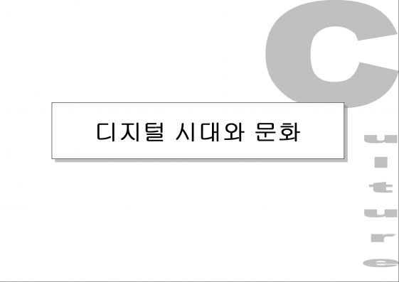 디지털 시대와 문화.PPT자료