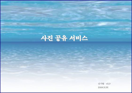 소셜 비즈니스(사진) 사업기획서 2008 - 사진 공유 서비스.ppt