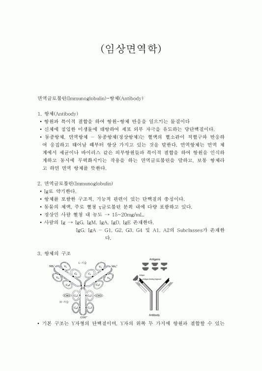 [임상면역학] 면역 글로블린에 대해서