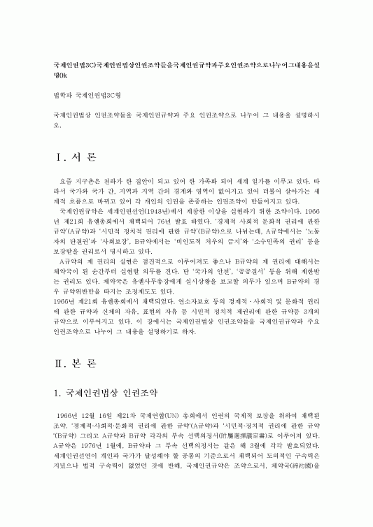 국제인권법3C)국제인권법상인권조약들을국제인권규약과주요인권조약으로나누어그내용을설명0k
