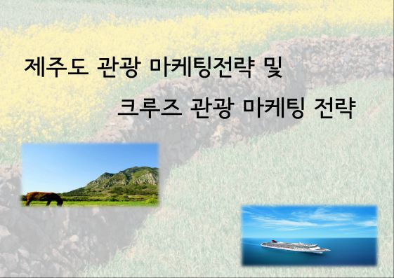 제주도 관광 마케팅전략 및 크루즈 관광 마케팅 전략 - 제주도관광마케팅,크루즈관광마케팅,관광마케팅사례 PPT자료