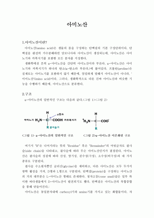 [화학] 아미노산에 대해서