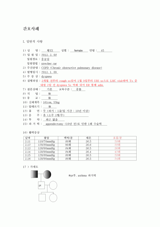 copd 대상자 케이스 간호진단 2개