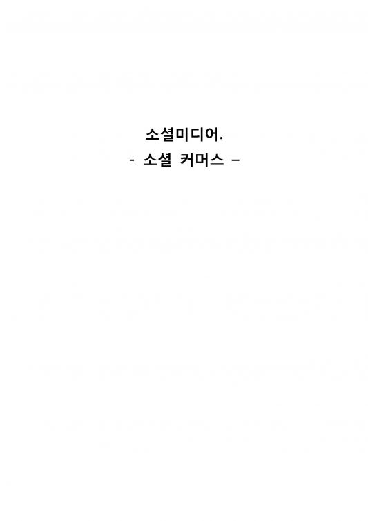 소셜커머스 정의및 소셜커머스 특성및 미국과 한국의 소셜커머스 비교분석과 국내 소셜커머스 발전위한 전략 제안
