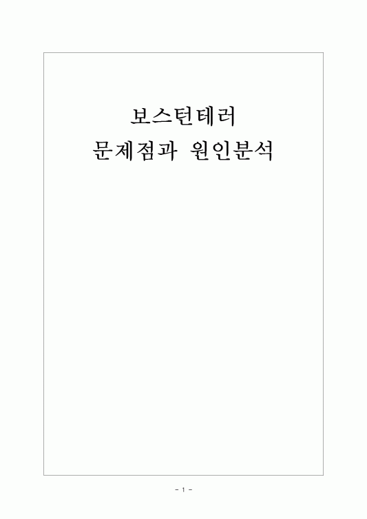 [테러현황]보스턴테러를 통해 살펴본 문제점과 원인분석 보고서