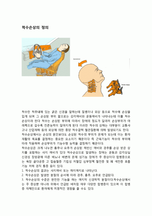 척수손상의 정의와 척수손상 치료목표의 수립, 척수손상의 재활치료