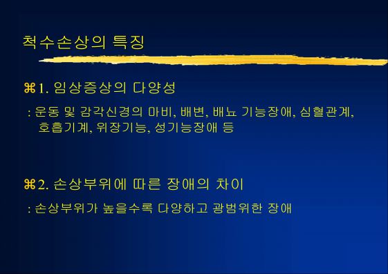 [물리치료] 척수손상과 재활치료