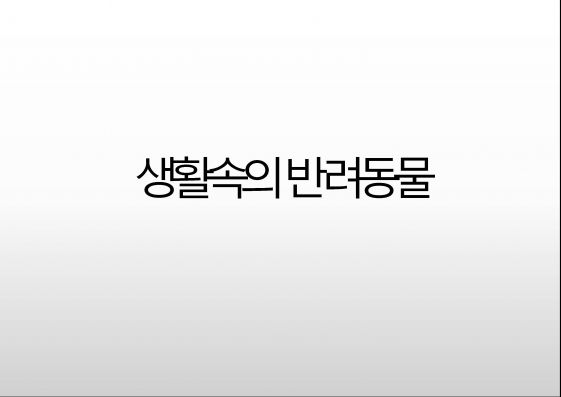 생활속의 반려동물에 대해서