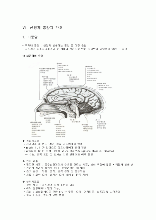 성인간호학 Ⅵ. 신경계 종양과 간호