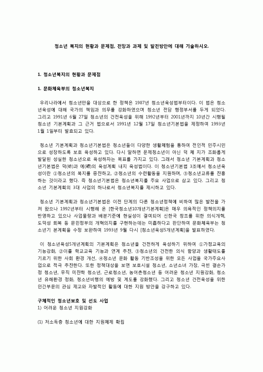 청소년 복지의 현황과 문제점, 전망과 과제 및 발전방안에 대해 기술