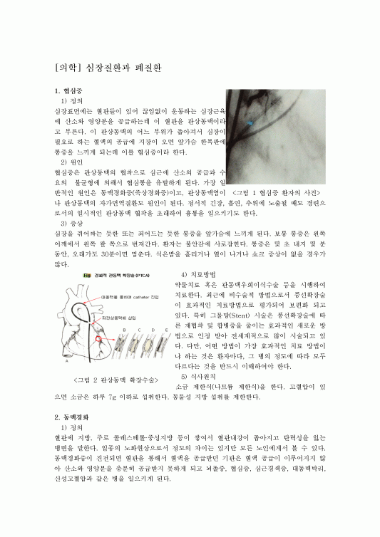 [의학] 심장질환과 폐질환