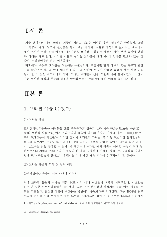 브라질 무술 레포트 자료