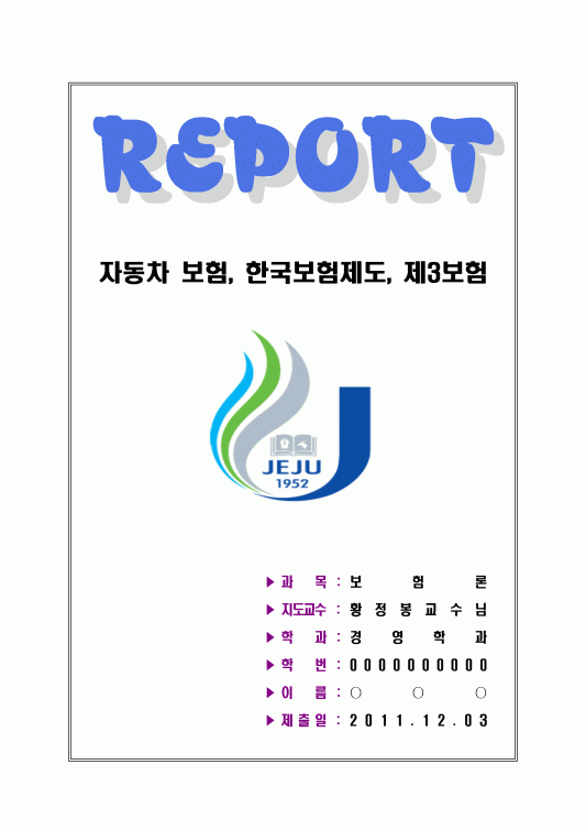 보험용어설명 (자동차 보험, 제3보험, 한국보험제도)