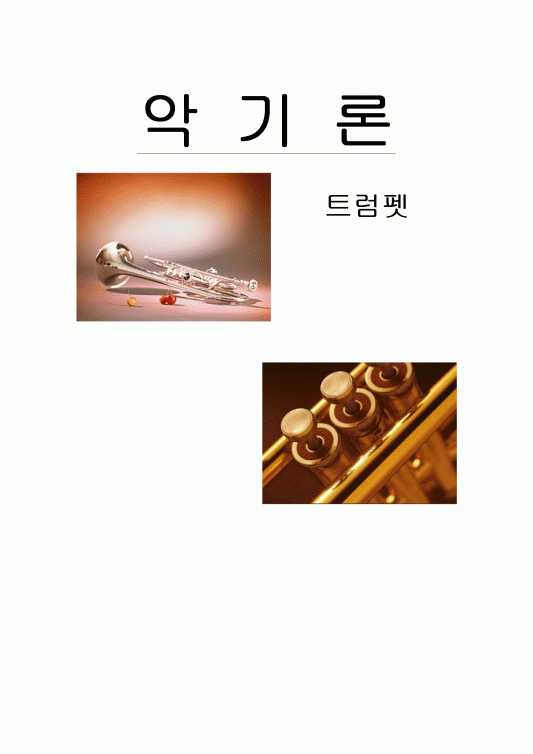 트럼펫 레포트 자료