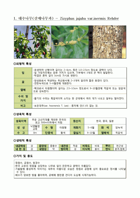 수목 도감 50개