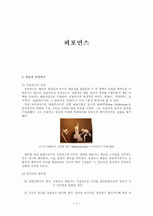 퍼포먼스 레포트 자료