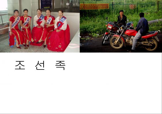 조선족 레포트 자료