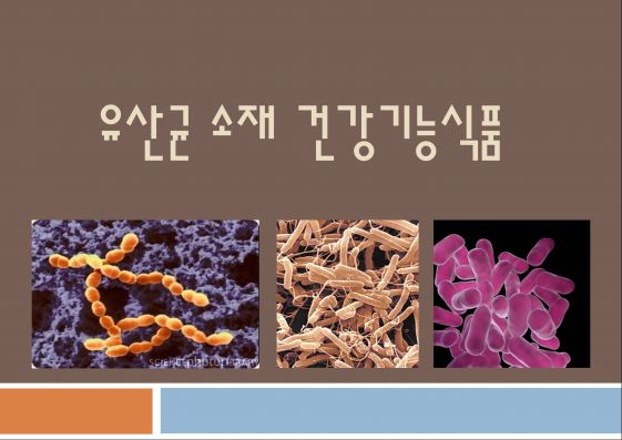유산균소재 건강기능식품