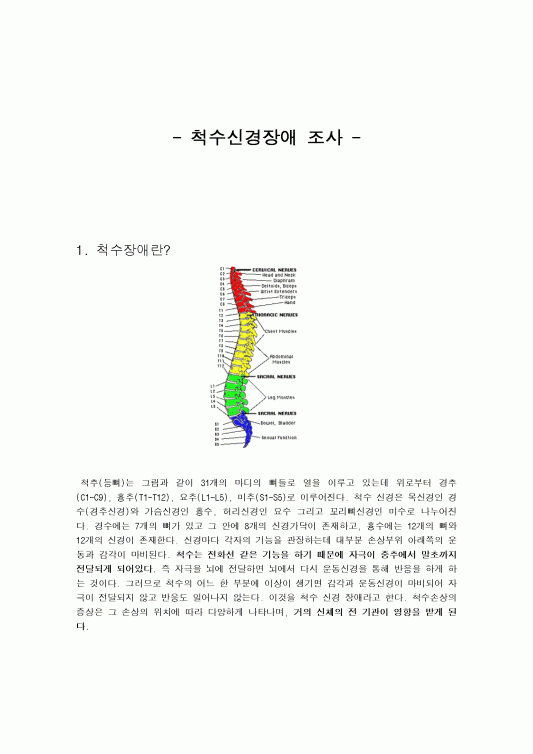 척수신경장애 조사