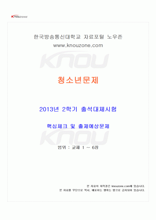 2013년 2학기 청소년문제 출석대체시험 핵심체크