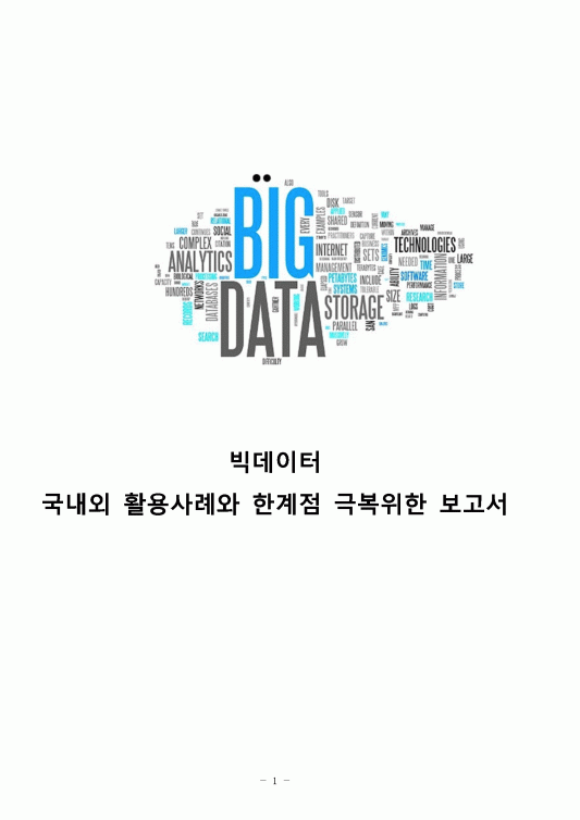 빅데이터(bigdata) 개념분석과 빅데이터 국내, 해외 활용사례 분석과 빅데이터 한계점과 나의 견해 - 한계점 분석, 극복방안 제언