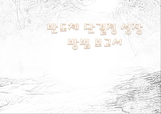 반도체 단결정 성장 방법 보고서