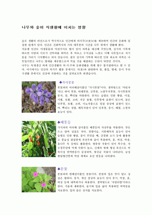 나무와 숲이 식생활에 미치는 영향