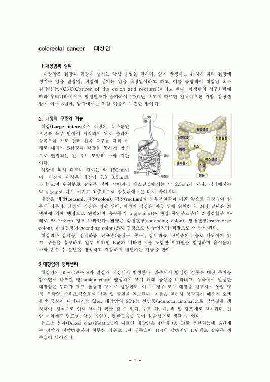 성인간호학 대장암 CRC(colorectal cancer) 분담과제입니다